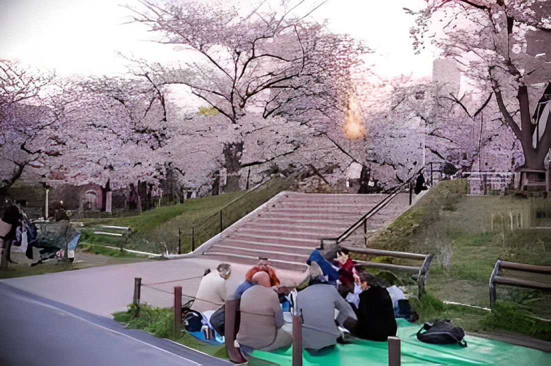 Top 15 Best Sakura Spots to visit in Japan - Spring in Japan