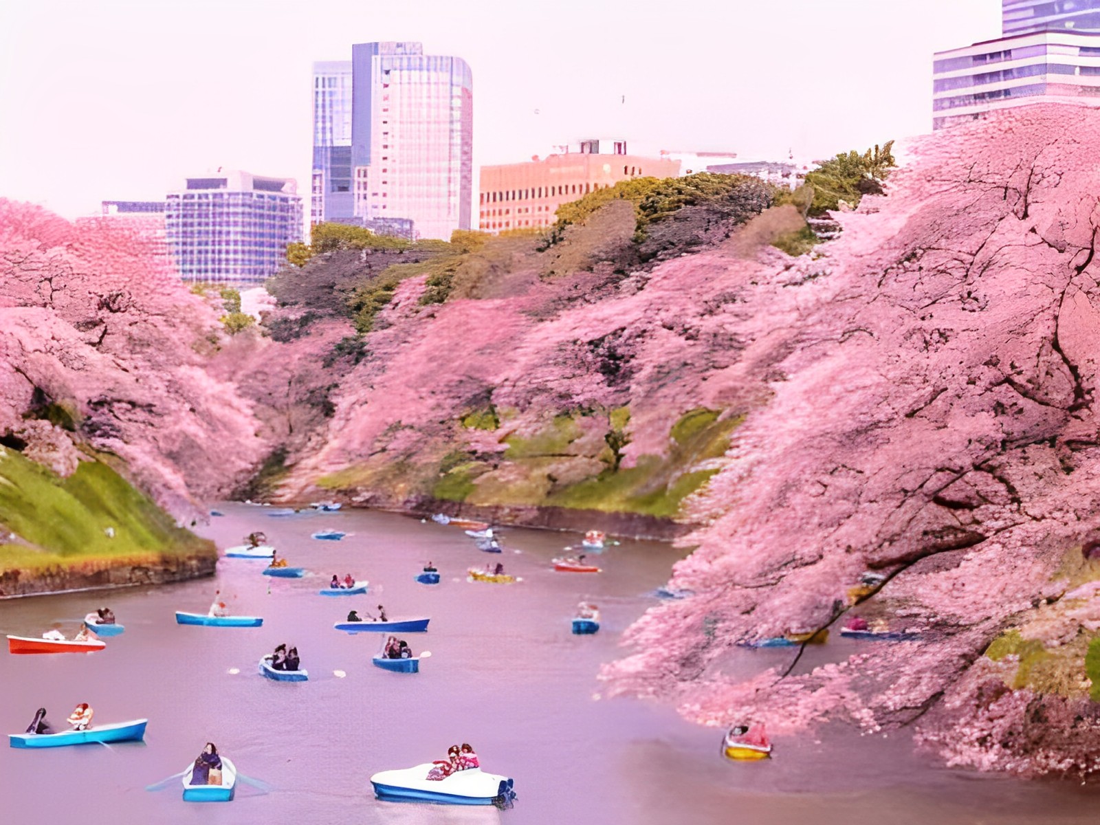 Top 15 Best Sakura Spots to visit in Japan - Spring in Japan