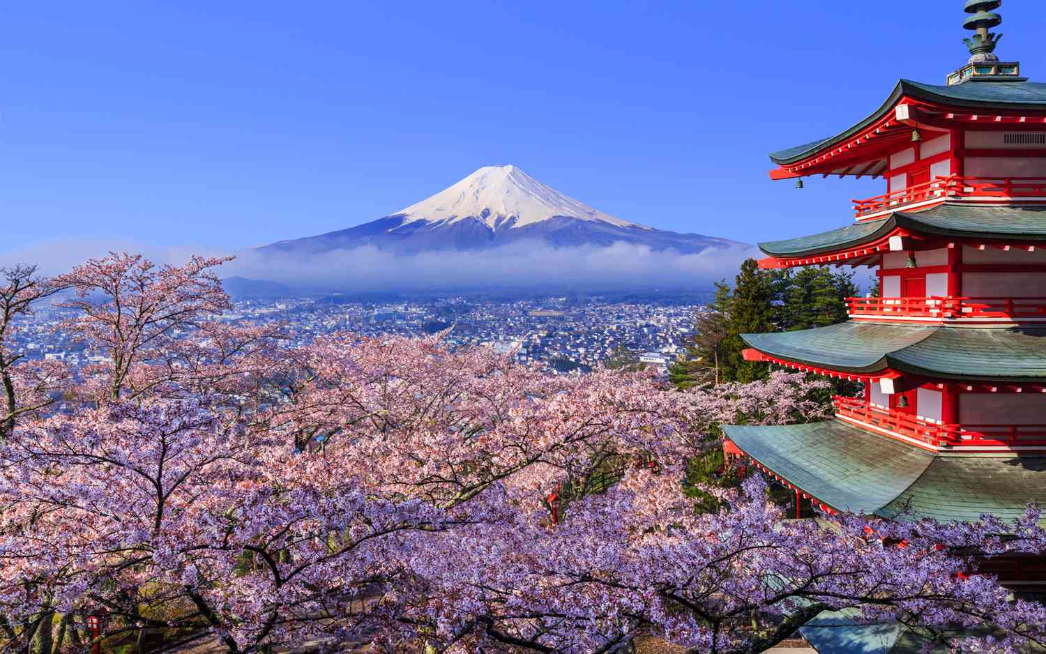 Top 15 Best Sakura Spots to visit in Japan - Spring in Japan