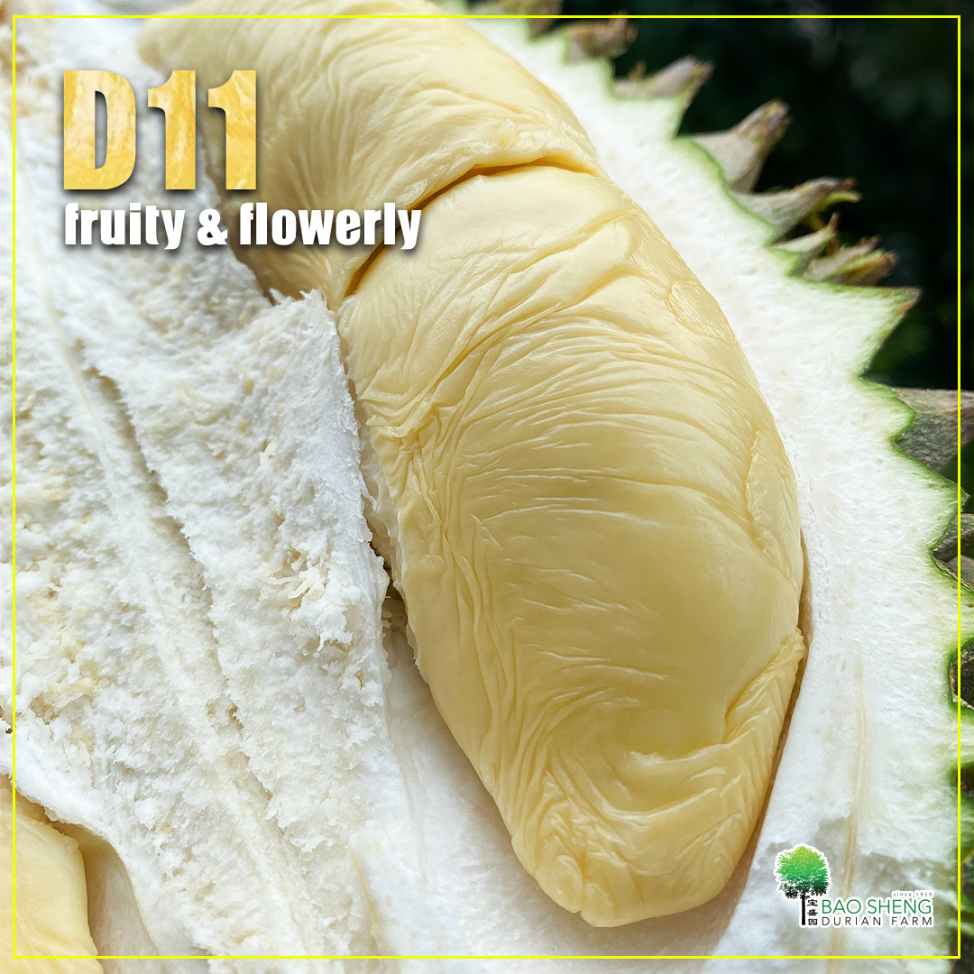 10 Places for Best Durian in Malaysia