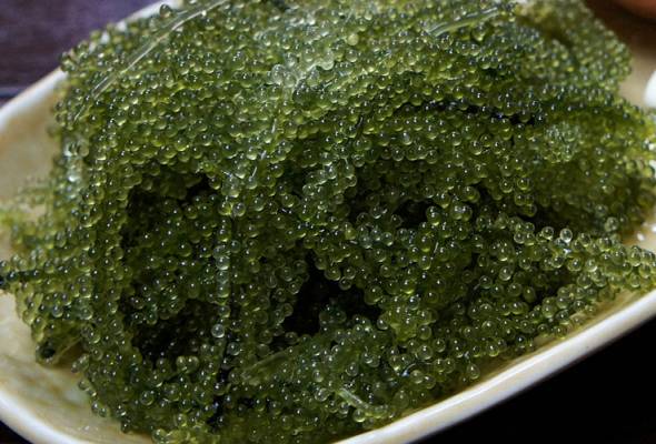 Explore the Flavors of Traditional Cuisine in Sabah - Culinary Delights