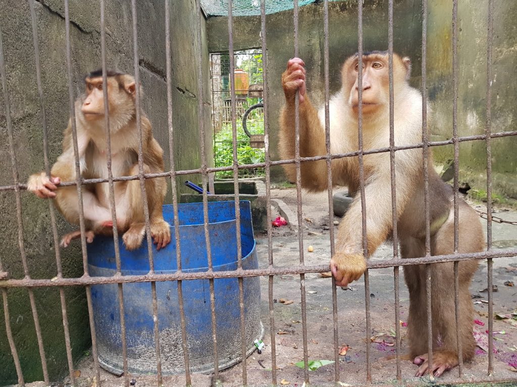 Top 15 Places to Visit & Things to do in Batam Island, Indonesia