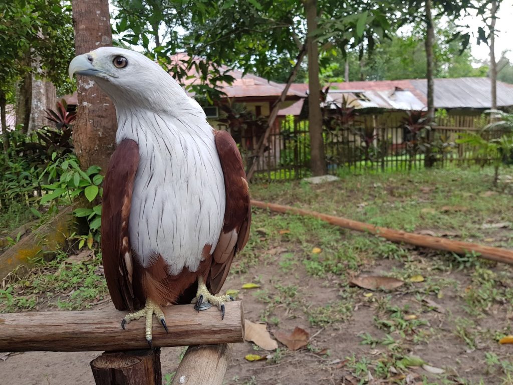 Top 15 Places to Visit & Things to do in Batam Island, Indonesia