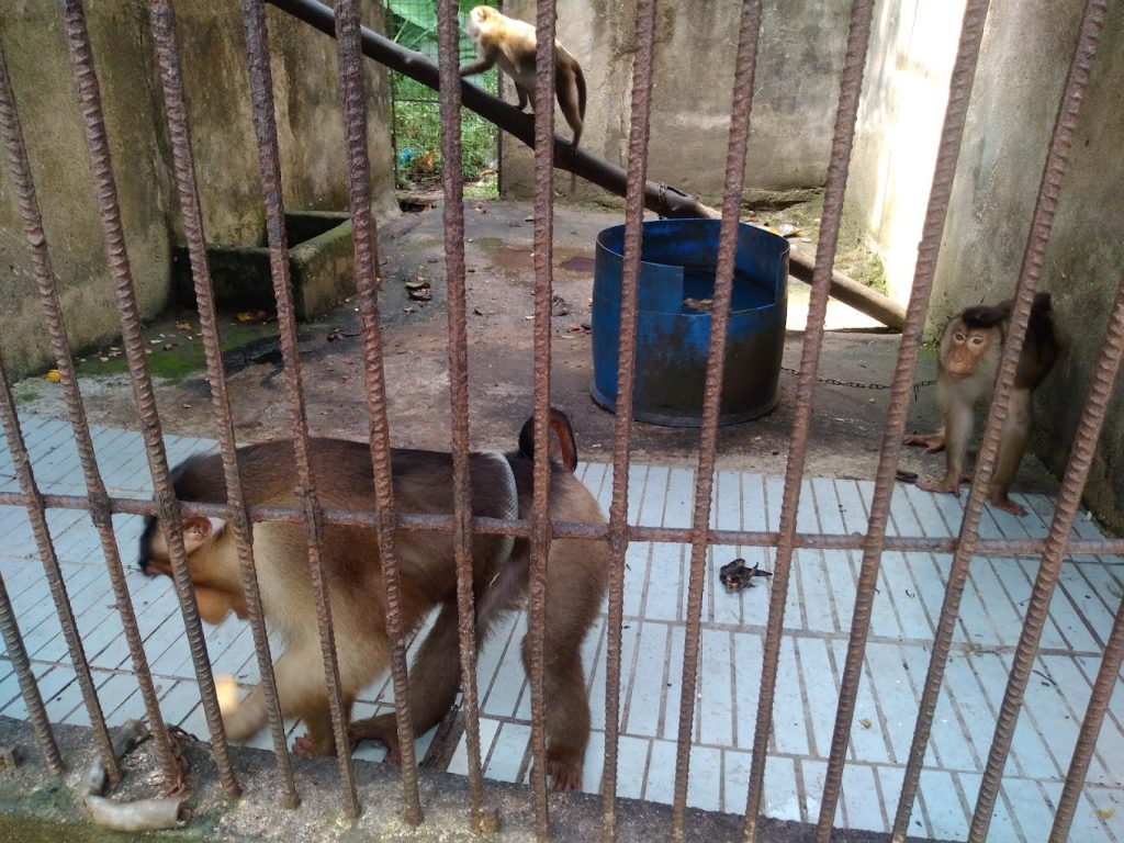 Top 15 Places to Visit & Things to do in Batam Island, Indonesia