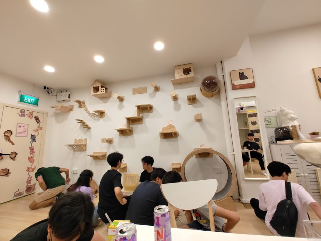 Top 10 Pet-Friendly Cafe in Singapore - Best Pet Cafe
