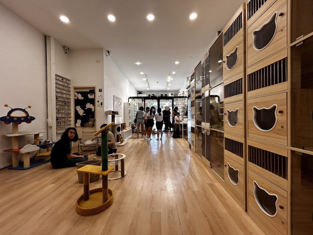 Top 10 Pet-Friendly Cafe in Singapore - Best Pet Cafe