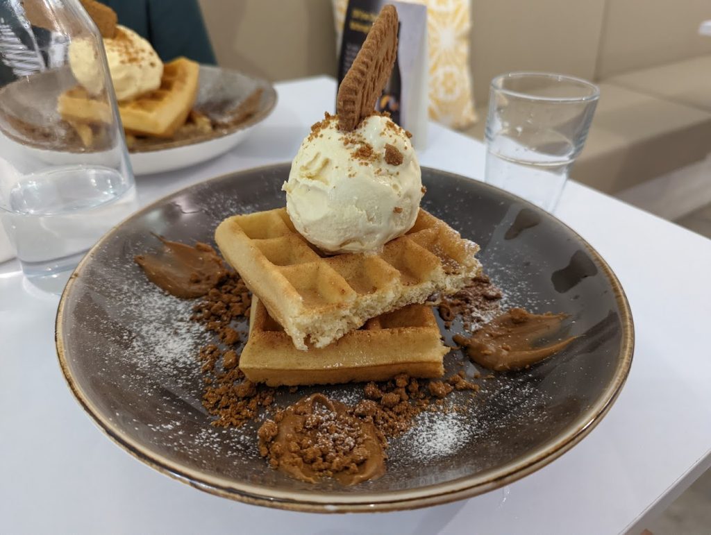 Top 10 Pet-Friendly Cafe in Singapore - Best Pet Cafe